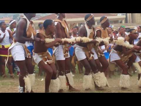 Nomavimbela high school zulu dance ithatha unamba 1 eLovu