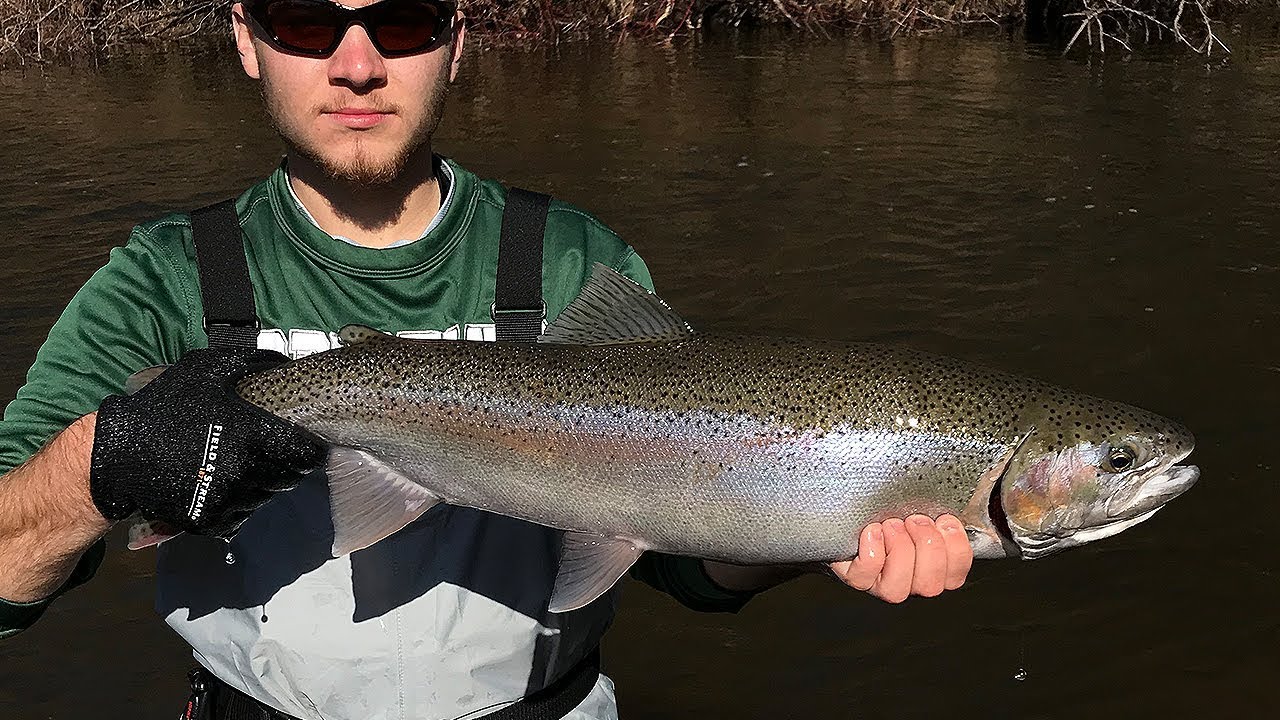INSANE Spring Steelhead Run Michigan 2018 - YouTube