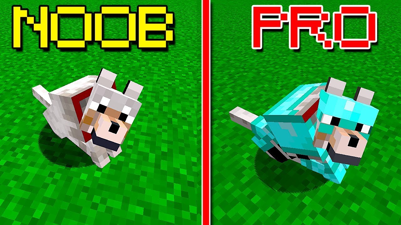 CACHORRO NOOB VS. CACHORRO PRO!! (MINECRAFT) - YouTube