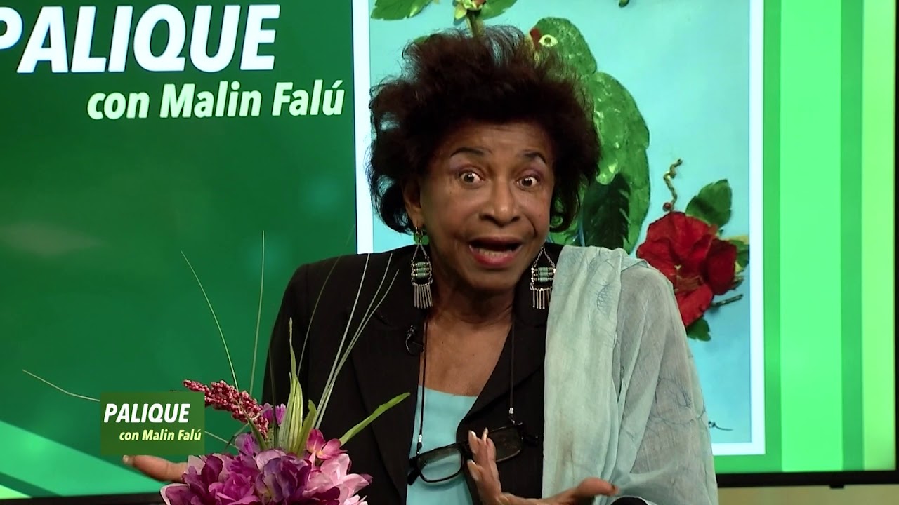 Palique con Malín Falú | Habrá recesión o no? - YouTube