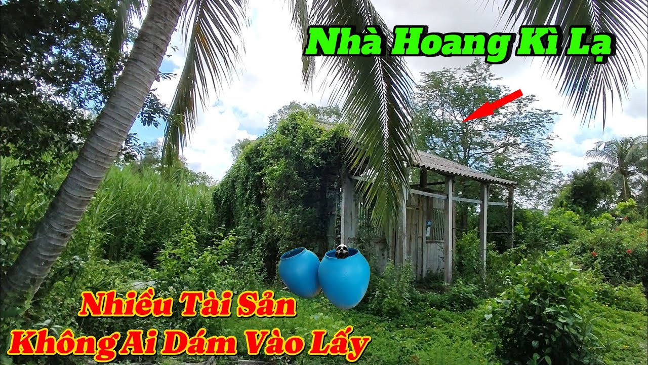 Ngỡ ngàng căn nhà hoang rách nát bên trong có nhiều tài sản giá trị ...