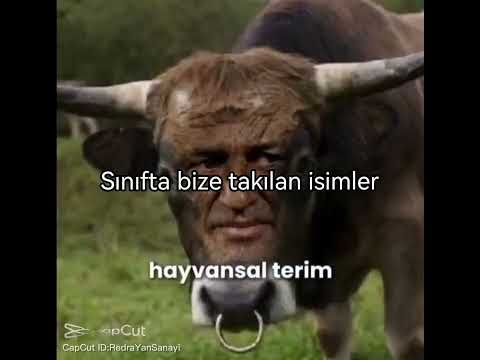 He ya