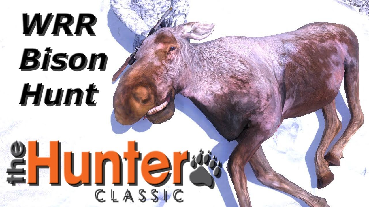 WRR Bison Hunt | TheHunter Classic - YouTube