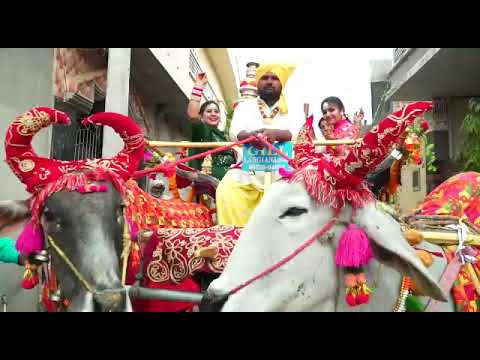 Nanka mail gadda contact no 9872604832 - YouTube