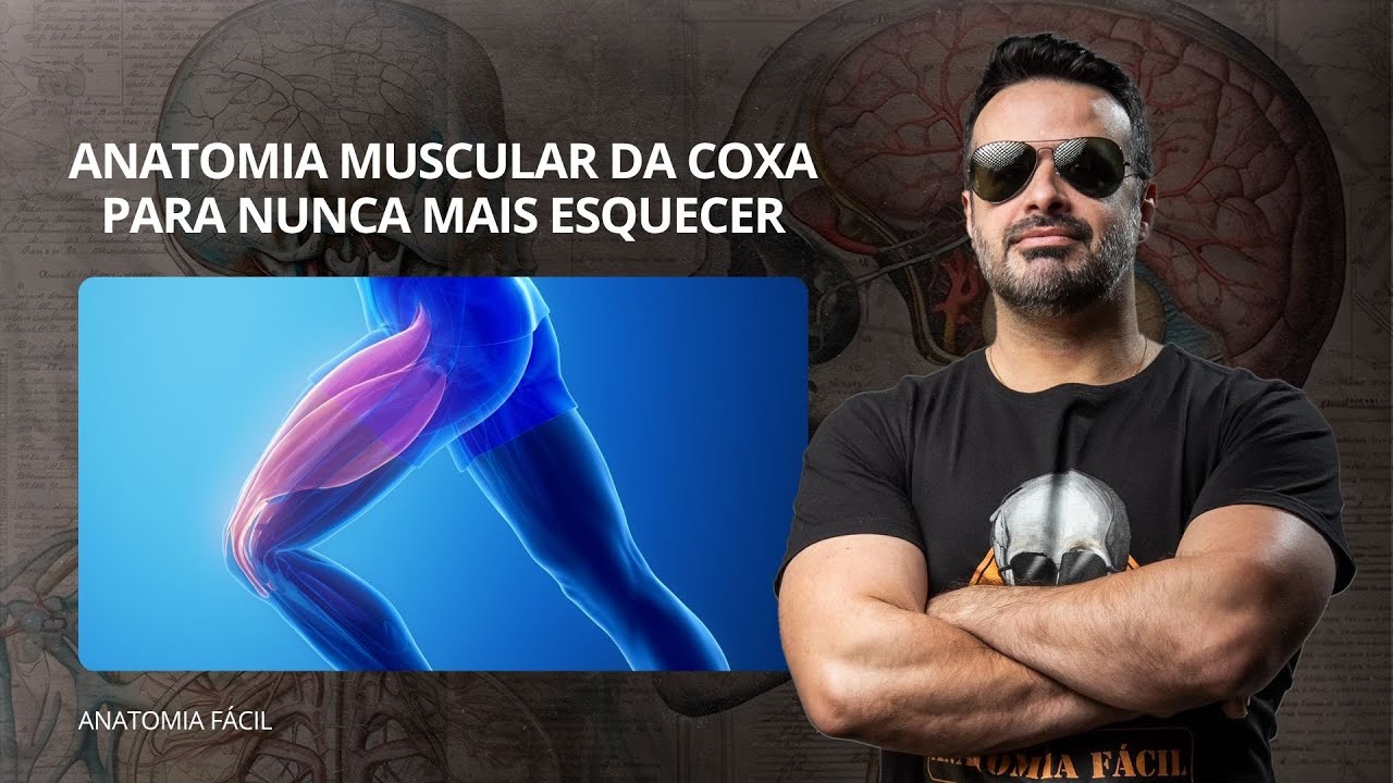 AO VIVO: Anatomia muscular da coxa para nunca mais esquecer - # ...