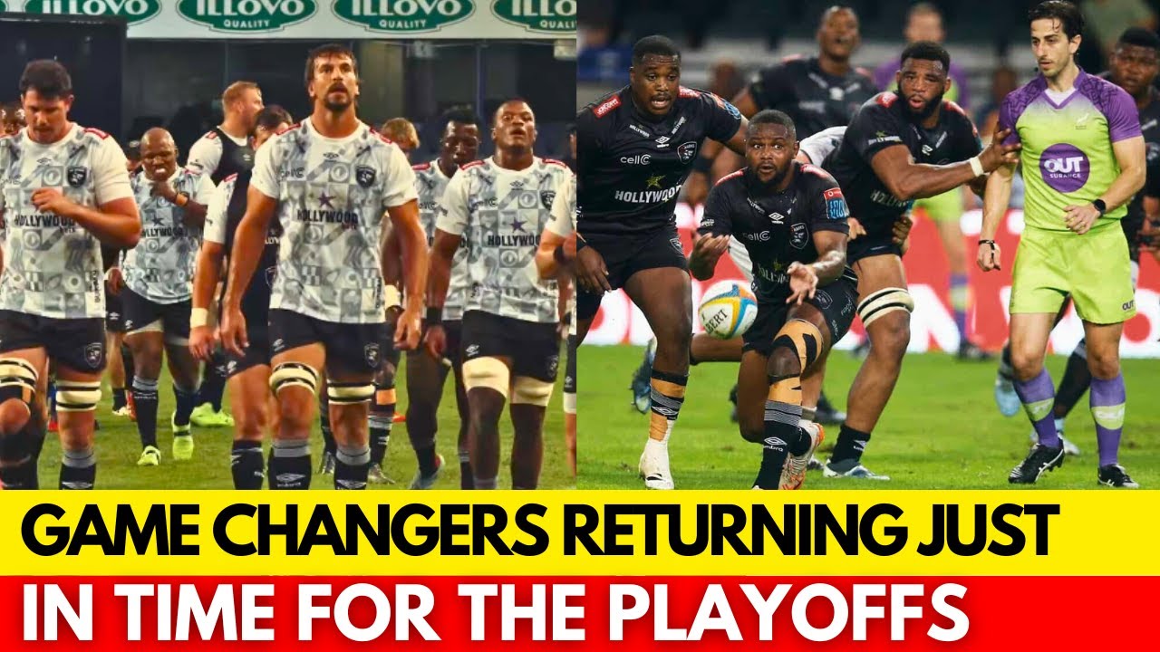 🚨CRUCIAL RETURNS COULD CHANGE EVERYTHING FOR THE SHARKS | SPRINGBOKS ...