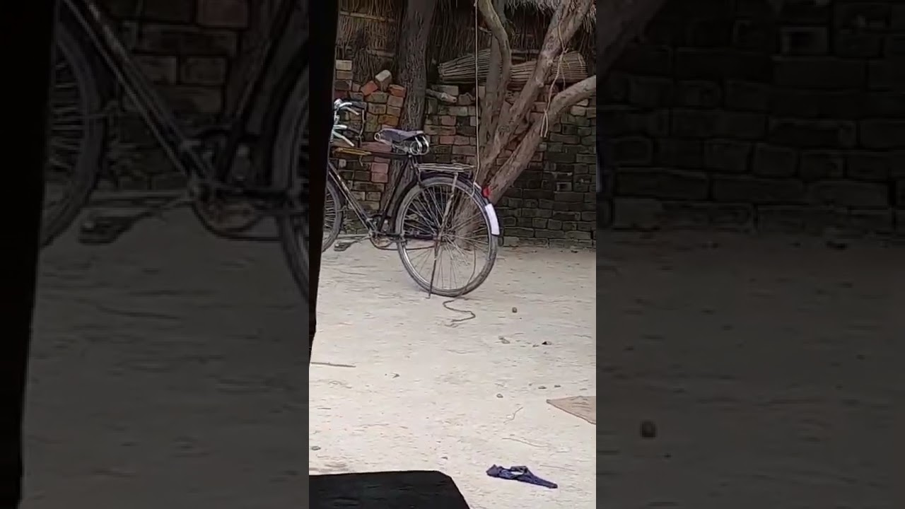 saikal status ️💯💯🏁🏳️🏳️🤫🥝🥝🥭🍊🍊 - YouTube