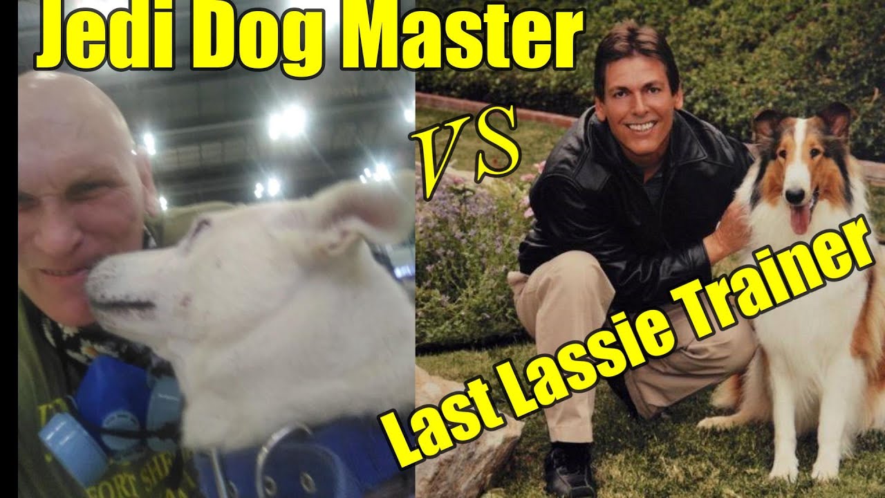 Jedi Dog Master vs Last Lassie Trainer #podcast #dogtraining - YouTube