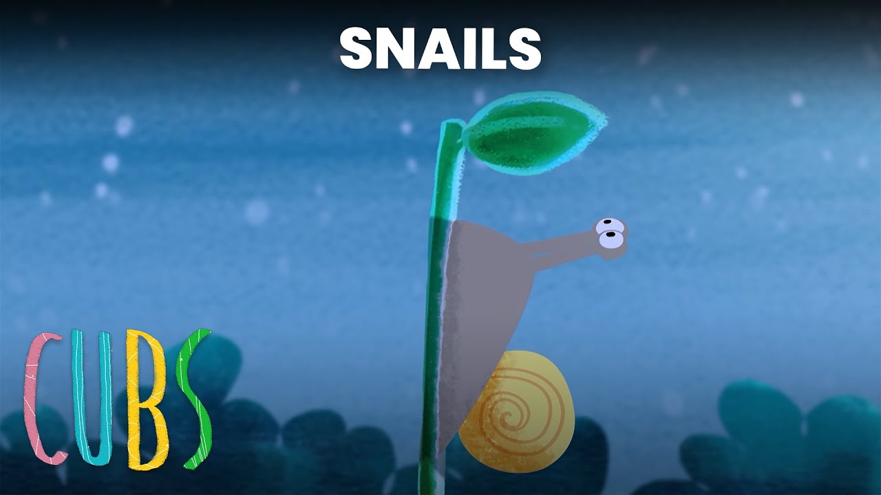 Snails | Cubs (S1E19) | FULL EPISODE | Da Vinci - YouTube