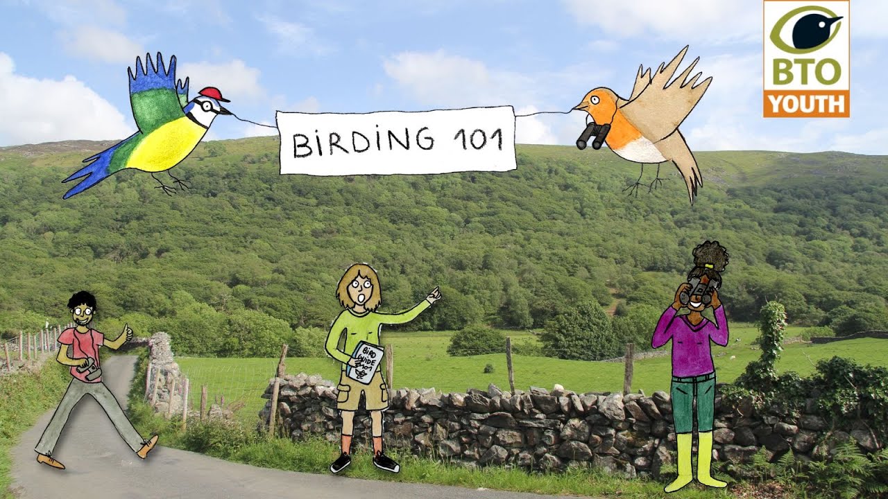 #BTOYouth Birding 101 - Getting started with birdwatching - YouTube