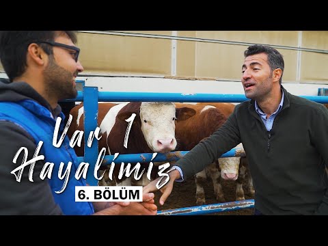 Var 1 Hayalimiz | 6. Bölüm | Büyükbaş Besi Çiftliği