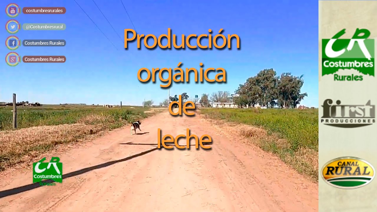 Producción orgánica de leche - CR#944 - YouTube