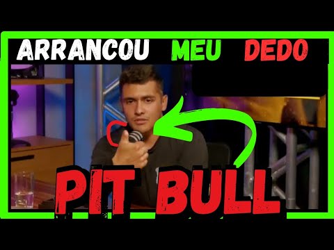 🚨Mister Pet Perdeu o dedo pro PIT BULL🚨 - YouTube
