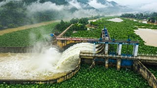Activity Solving Massive Floating Plant Removal from a Clogged Dam -Part 3 Final