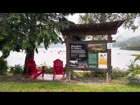 Enjoying the Beauty of Vancouver Island | #Tahsis #BC #Canada