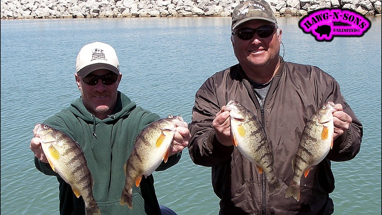 Very Best Perch Fishing ReEdit Ever Filmed Chicago Illinois Lake - YouTube
