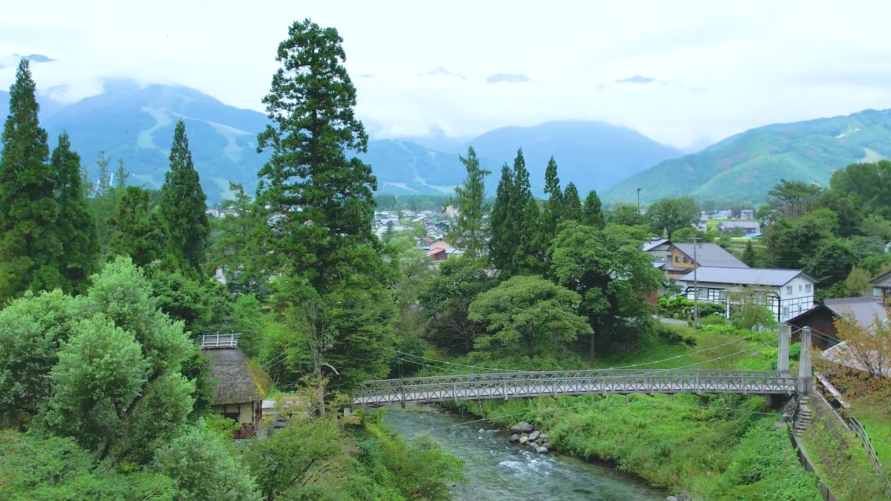 長野県白馬村 / Suspension bridge in Oide Park, Hakuba Village, Nagano ...