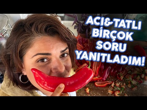 Sizden Gelen Soruları Yanıtladım😱Merak Ettikleriniz❤️Hakkımda (Benimde Dahil) 😜 Hiç Bilmedikleriniz!