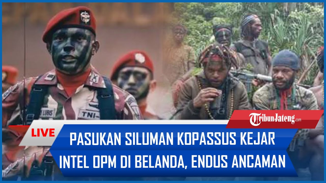 🔴Pasukan Siluman Kopassus Kejar Intel OPM di Belanda, Endus Ancaman ...
