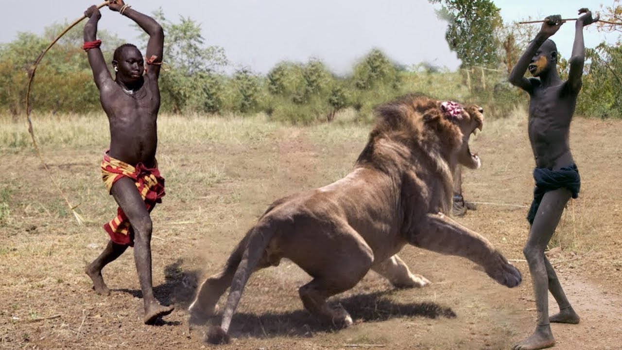 Amazing Wild Animals Hunt - Wild Animal Fights Caught On Camera | Lion ...