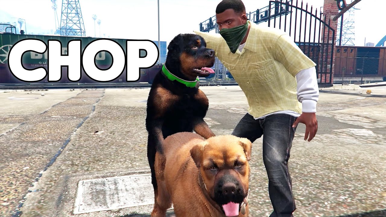 GTA 5 - Chop - Main Mission - YouTube