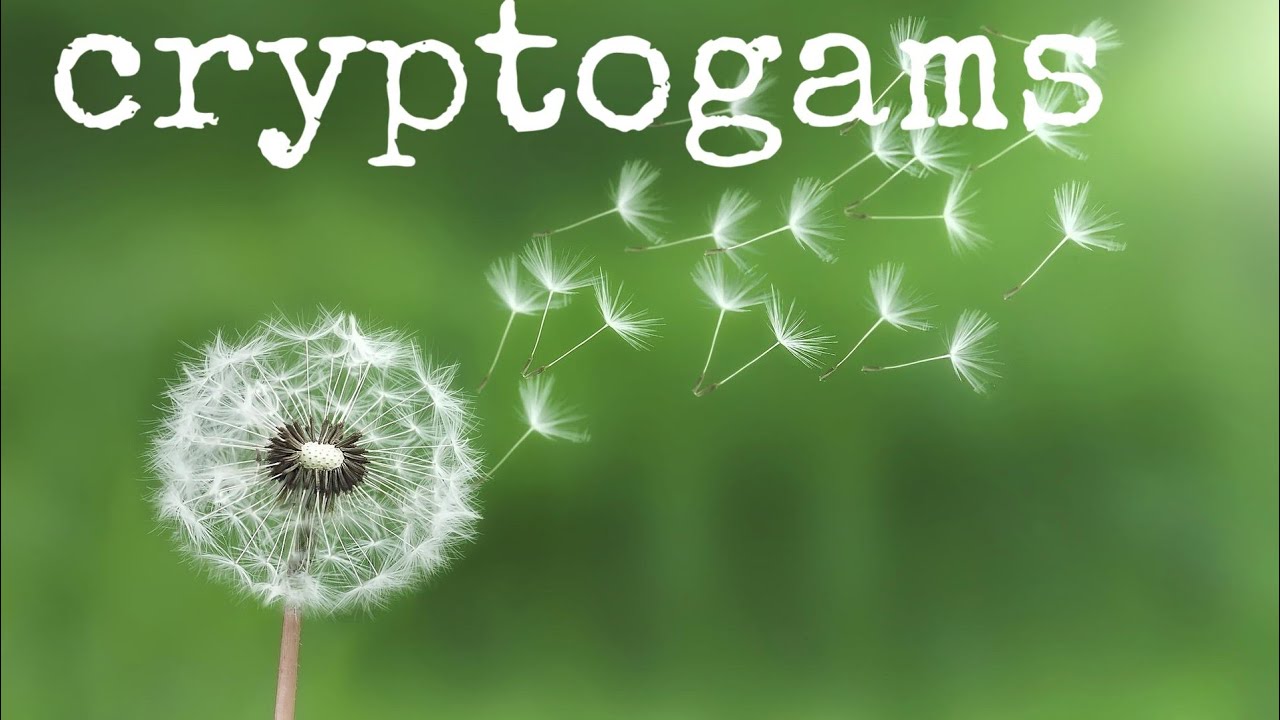 STD-9-scince-classification of plants-cryptogams. - YouTube