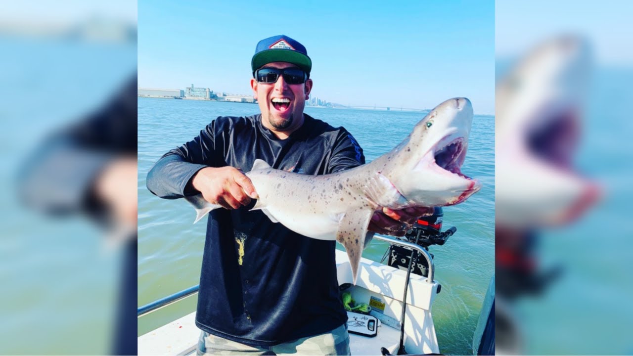 SHARK FISHING!!! Catch Clean Cook | Shark NUGGETS Ep.#23 - YouTube