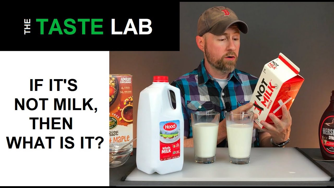 It's "Not Milk" But is it Good? | Taste Lab - YouTube