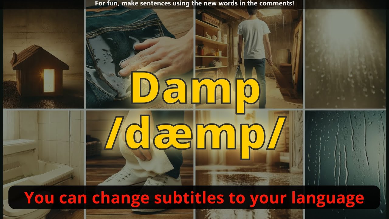 Damp meaning with 5 examples - YouTube