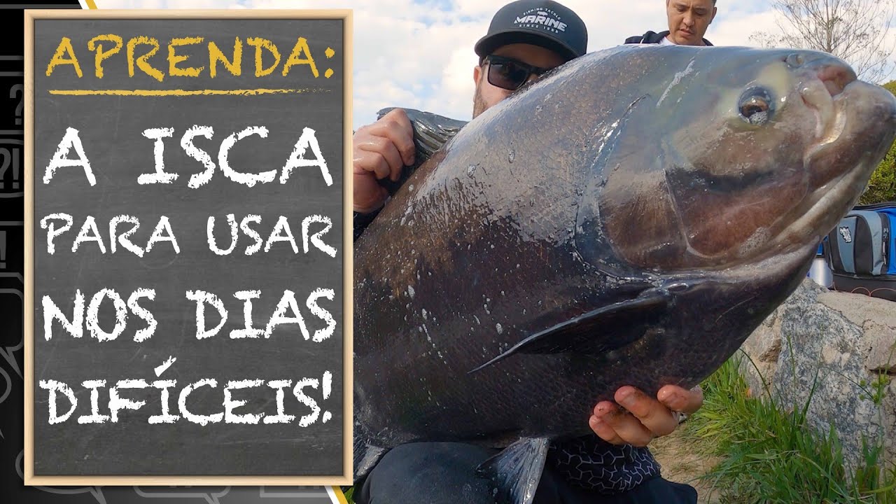 APRENDA: A ISCA PARA USAR NOS DIAS MAIS DIFÍCEIS!! (TUTORIAL COMPLETO ...