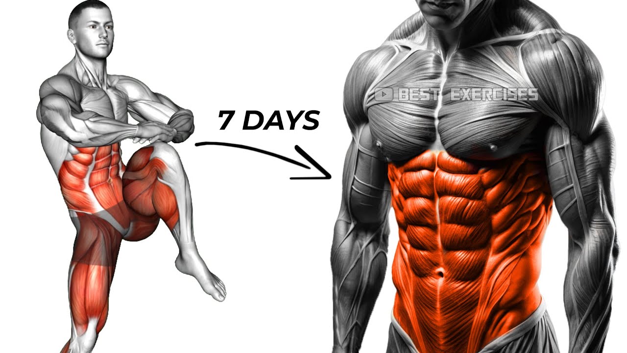 Standing Only Six Pack Abs Workout To Lose Belly Fat in 7 Day At Home ...