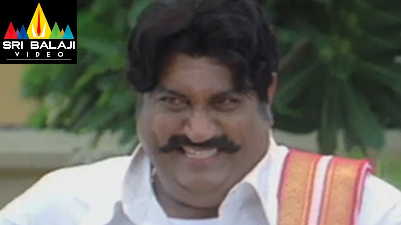 Jayaprakash Reddy Scenes Back to Back | Sri Balaji Video - YouTube
