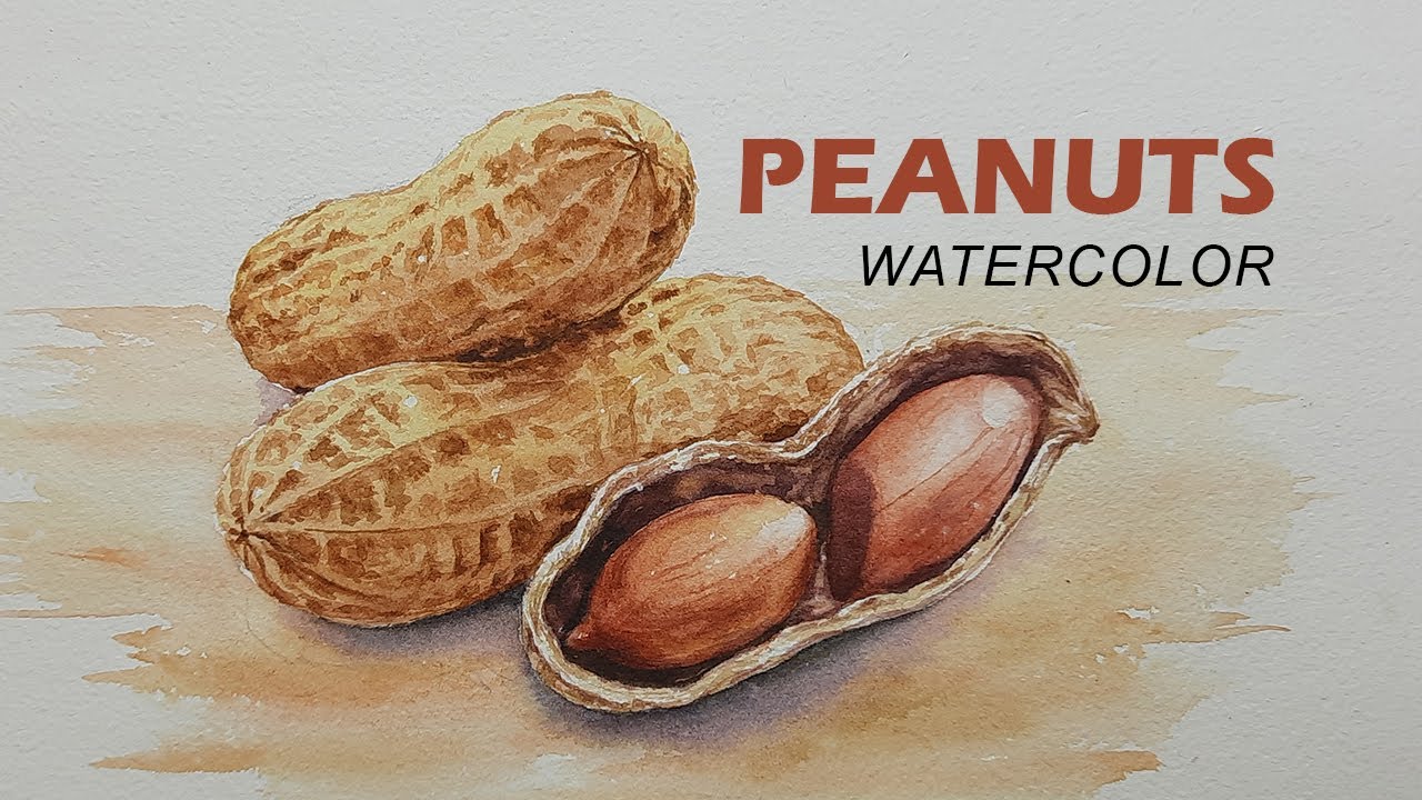 Watercolor Painting Peanuts - YouTube