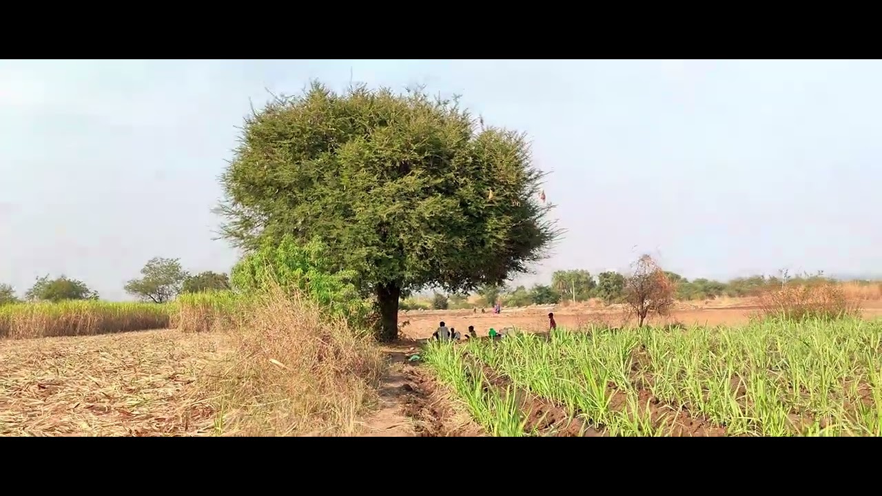 view of farm - YouTube