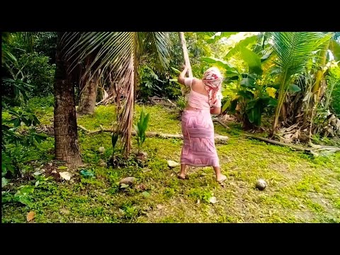 Routine Rotini Rotina لينا في الغسيل الروتيني للملابس