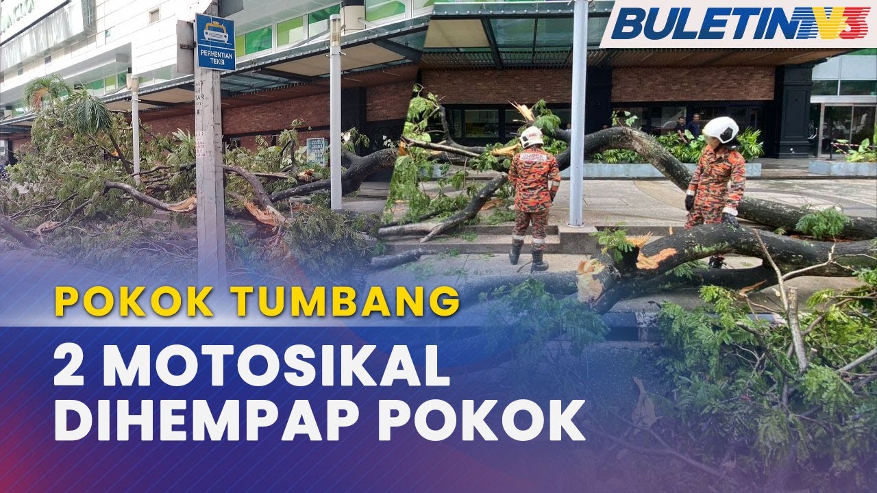 POKOK TUMBANG | Dua Motosikal Dihempap Pokok Di Jalan TAR - YouTube