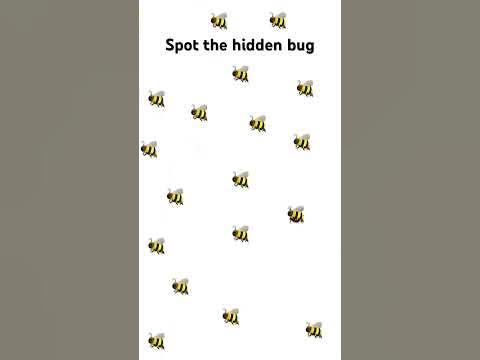 Find the hidden bug!!!! - YouTube
