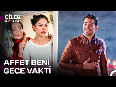 Seninle Barışmak Uğruna Mahalle Bile Yakılır Sevgilim - Çilek Kokusu