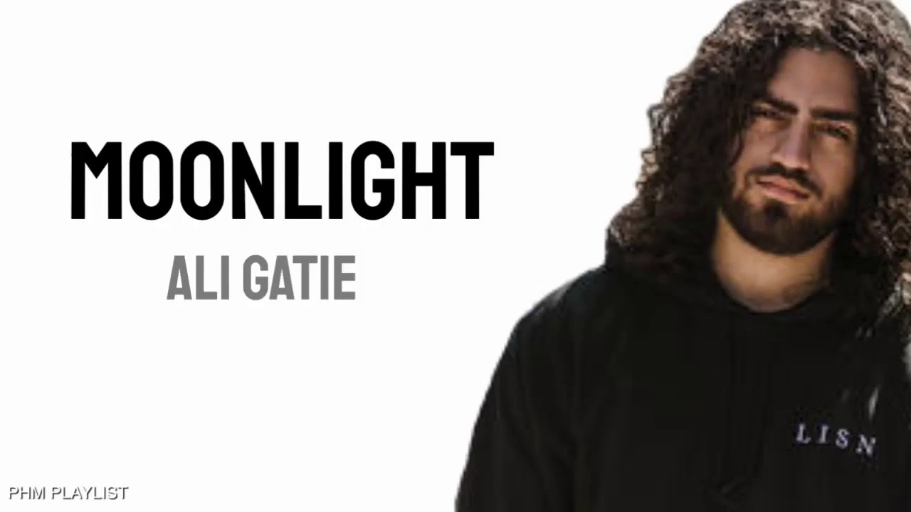 Ali Gatie - Moonlight (Lyrics) - YouTube Music