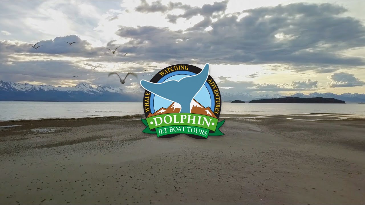 Dolphin Jet Boat Tours Highlight - YouTube