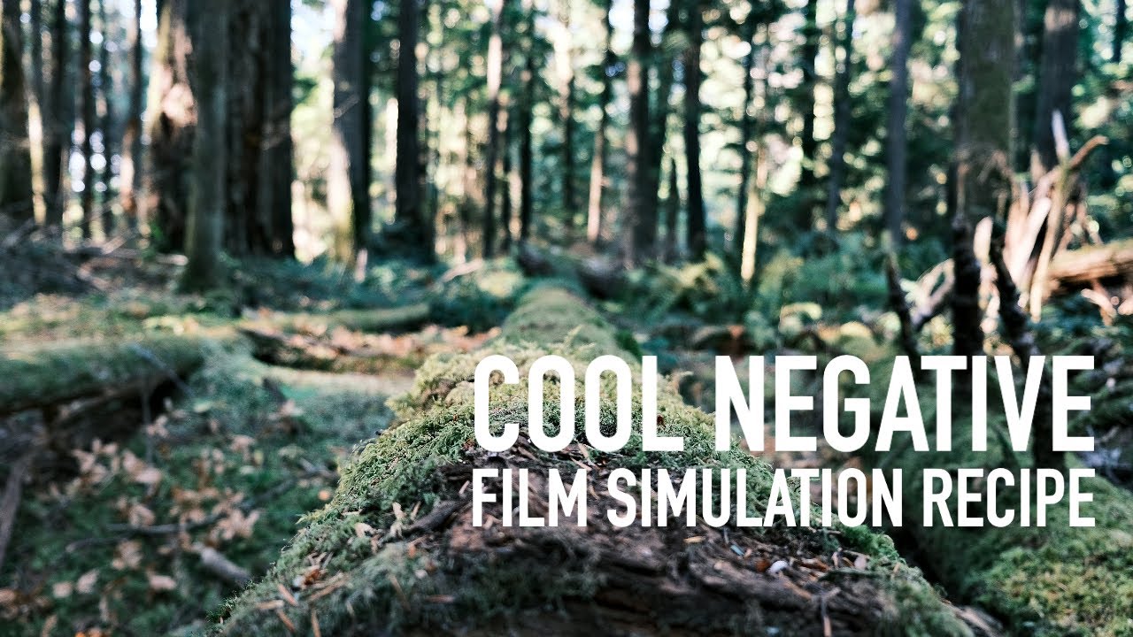 Cool Negative Film Simulation Recipe | Qualicum Heritage Forest | Fuji ...
