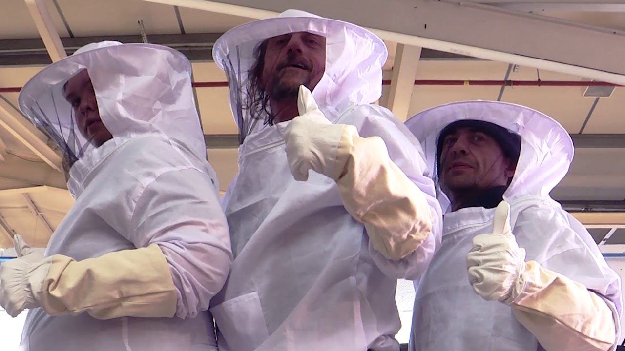 Bee know-how helps keep driver valuables safe - YouTube