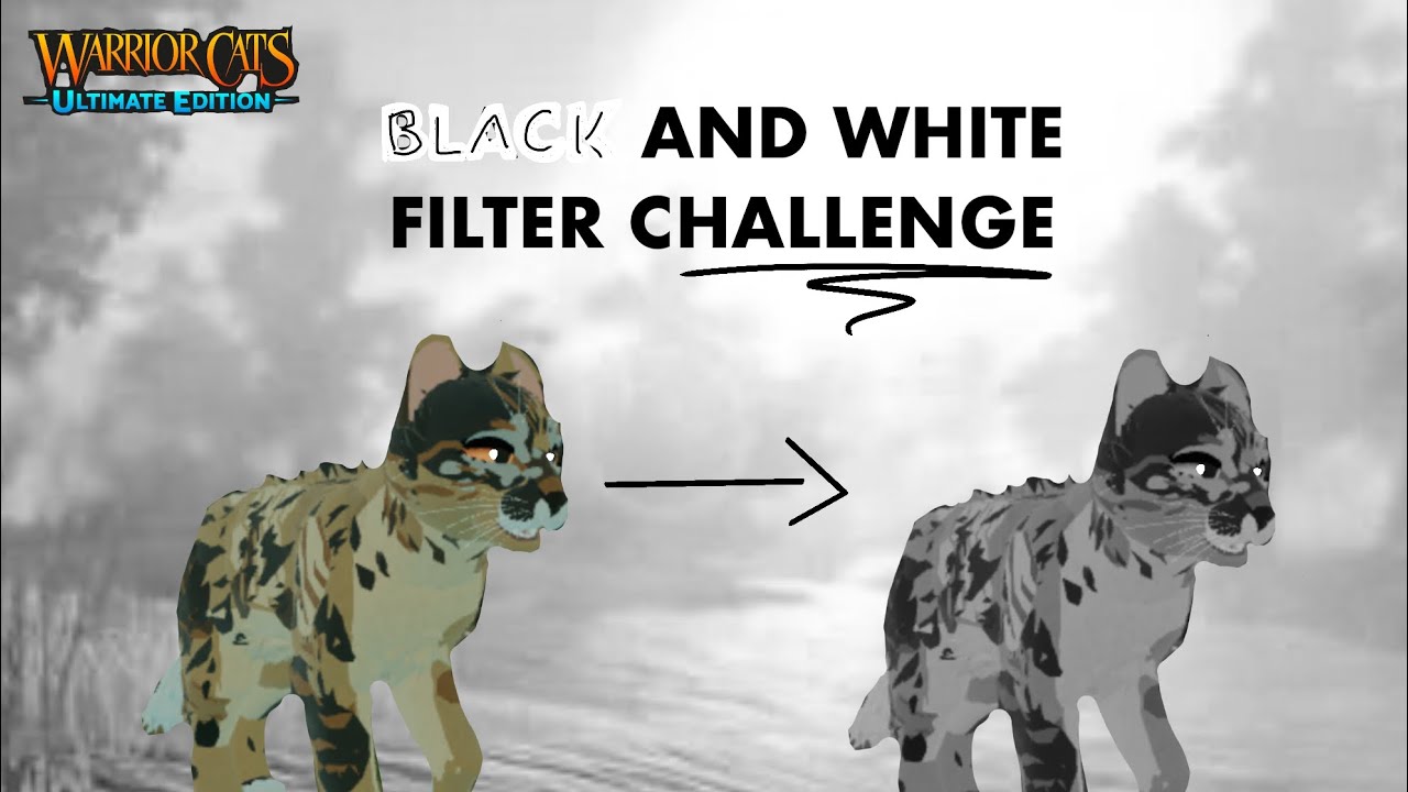 Making Morphs Using The BLACK AND WHITE FILTER! In Warrior Cats ...