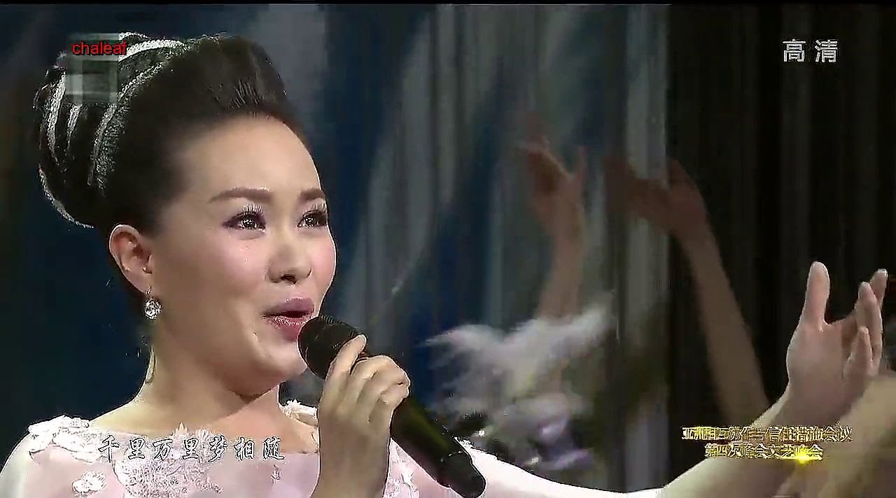芦花 - 雷佳 20140520 Reed Catkins - Lei Jia - YouTube