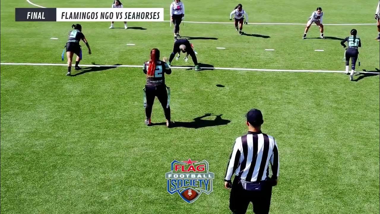 FINAL // SEAHORSES VS FLAMINGOS NEGRO // FLAG FOOTBALL SOCIETY FEMENIL - YouTube