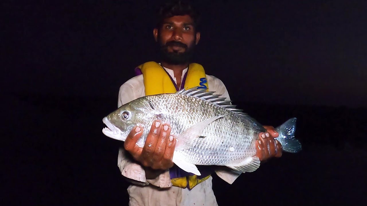 Mangroves Bottom Fishing From Rehri Goth Karachi Pakistan | 2022 - YouTube