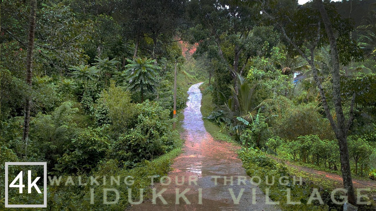 A Rain walk through lush green landscape of Idukki / Kerala Walk / 4K Walking tour in kerala ...