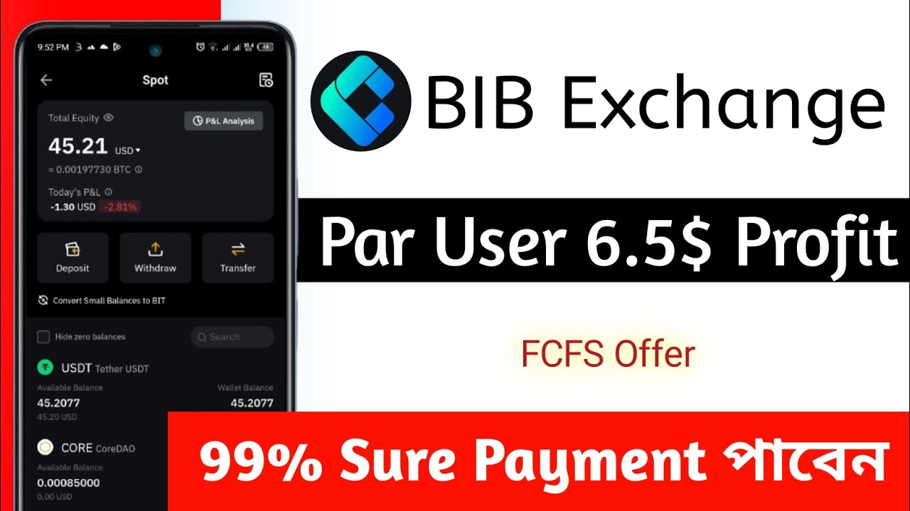 BIB Exchanger || Par User 6.50$ Income || First Come First service ...