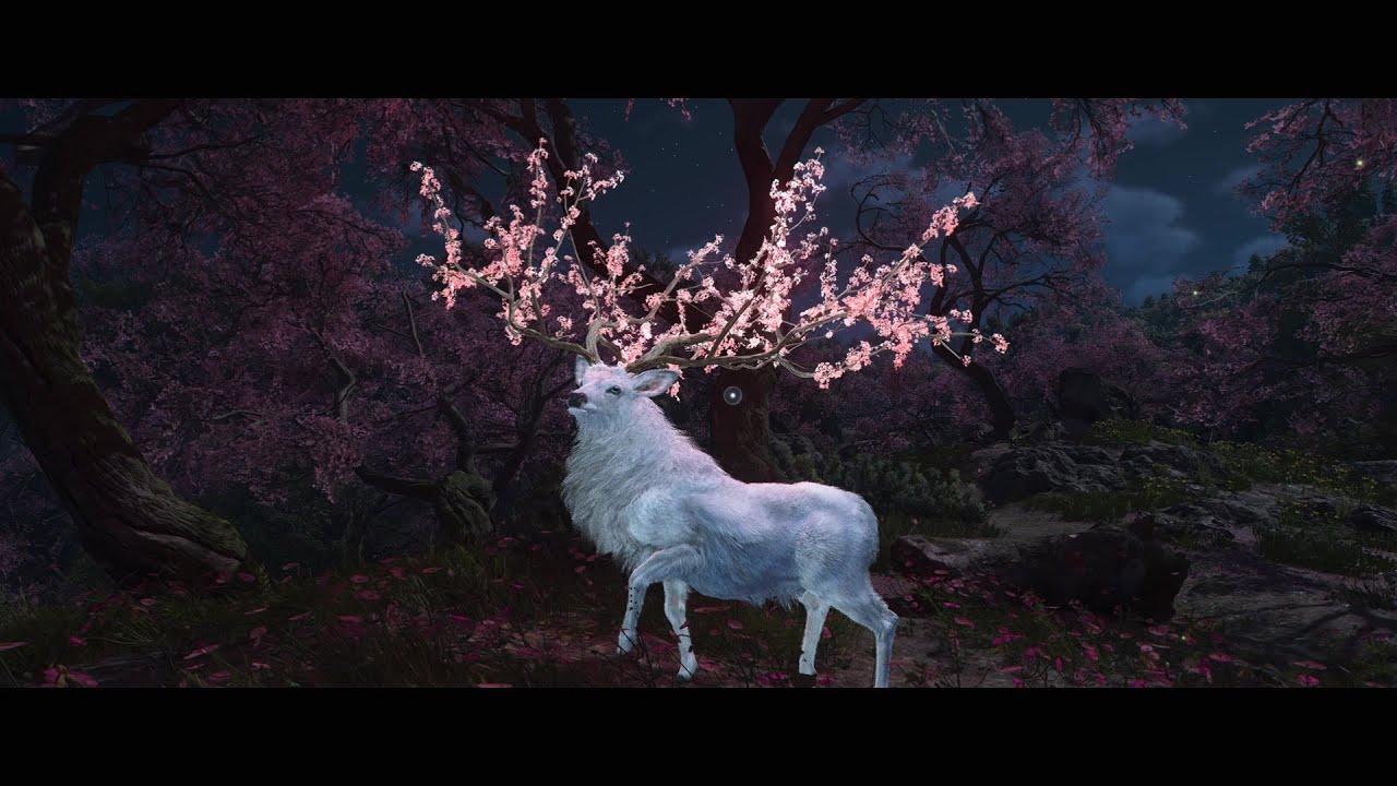 Assassin's Creed Shadows | Finding the Legendary Sakura Deer {Sumi-e ...