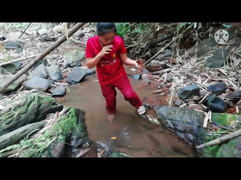 Hluas nkauj hmoob mus khawb roob ris 2